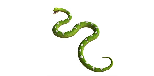 Hard Snake Quiz - ProProfs Quiz
