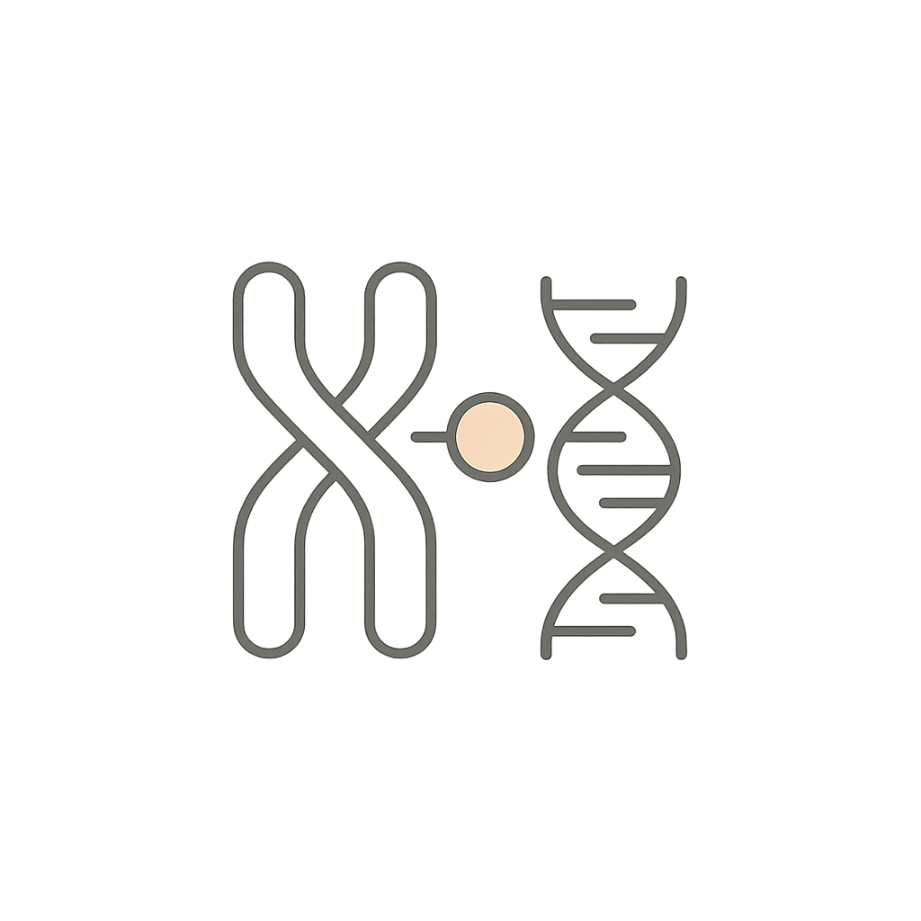 Understanding Chromosomes, Genes, and DNA - Quiz, Flashcards & Trivia
