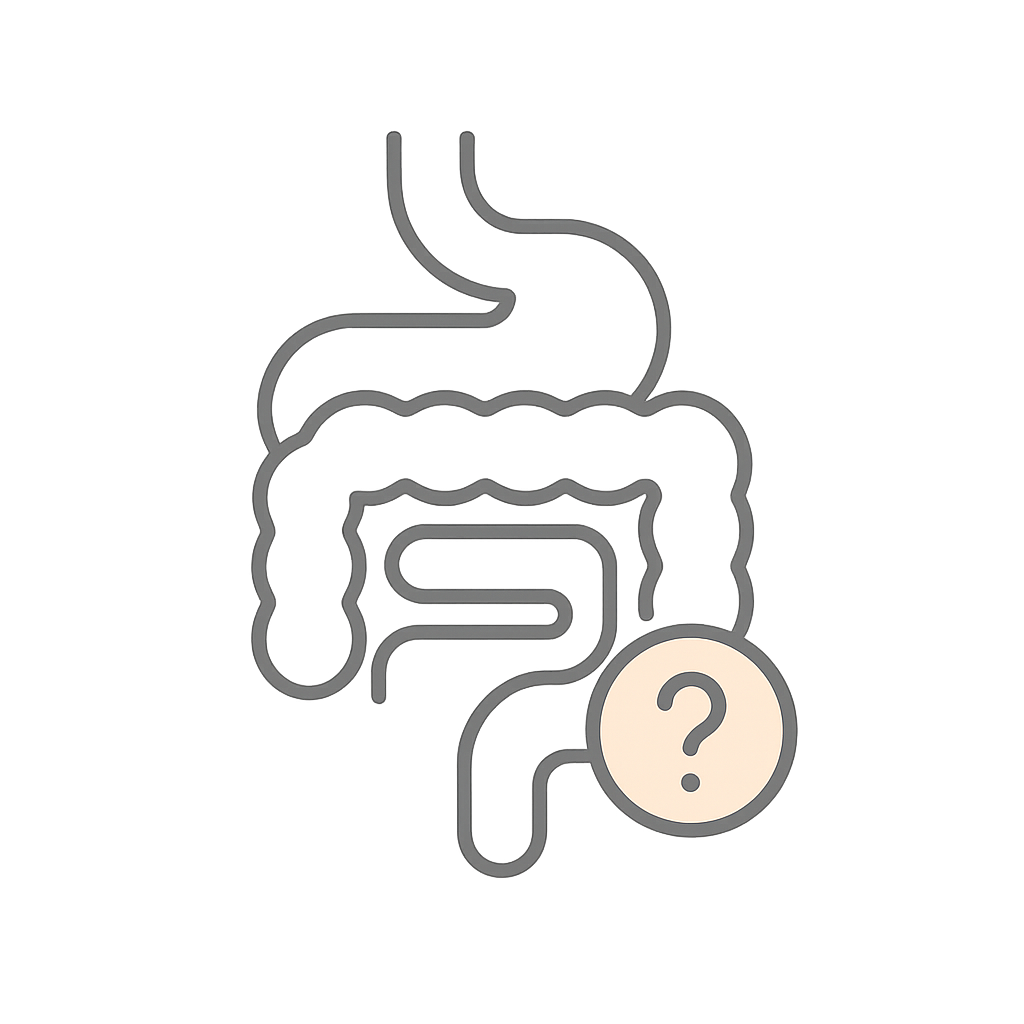 Digestive System Anatomy and Physiology Overview - Quiz & Trivia