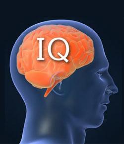 Easy IQ Test - ProProfs Quiz