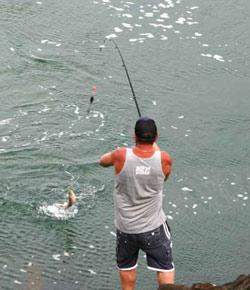 Top Fishing Quizzes, Trivia, Questions & Answers - ProProfs Quizzes