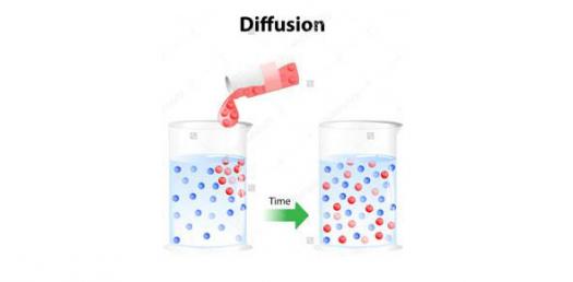 Simple Diffusion Quiz - ProProfs Quiz