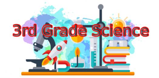 Science Quiz - Year 3 - ProProfs Quiz