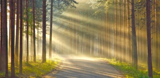 Chapter 24: The Wave Nature Of Light - ProProfs Quiz