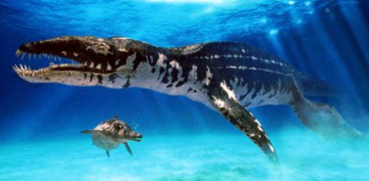 Marine Reptiles - ProProfs Quiz