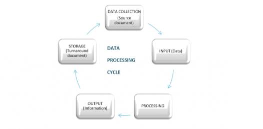 Data Processing Cycle
