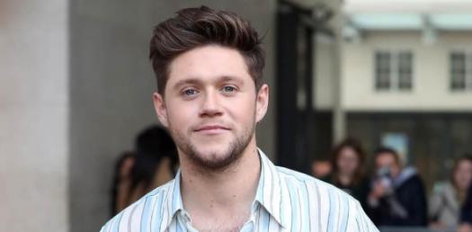 Quiz: Will Niall Horan Ever Date You? - ProProfs Quiz