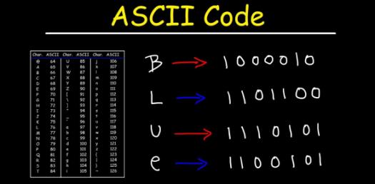 Convert ASCII To Binary Quiz! Test - ProProfs Quiz