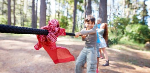 Haemolytic Uraemic Syndrome (Hus) In Children - ProProfs Quiz