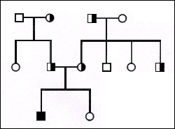 Heredity, Punnett Squares and Pedigree Charts - Quiz, Trivia & Questions