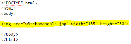 HTML & CSS Script - Quiz, Trivia & Questions