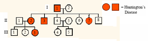 Pedigree Analysis Quiz Questions with Answers