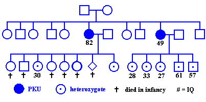 Pedigree Analysis Quiz Questions with Answers - Trivia & Questions
