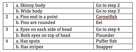 Identification - Dichotomous Keys