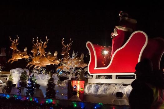 What Do You Know About the "Who'll Pull Santa's Sleigh Tonight" Book ...