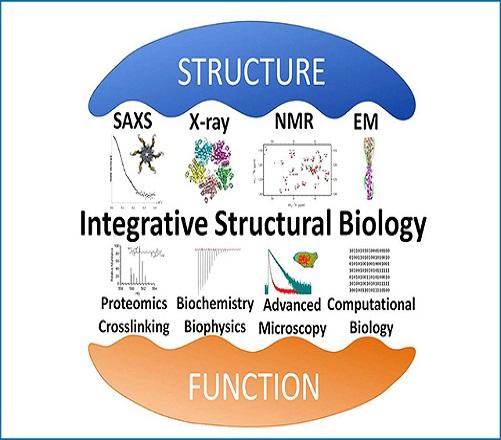 What Do You Know About Structural Biology? - ProProfs Quiz