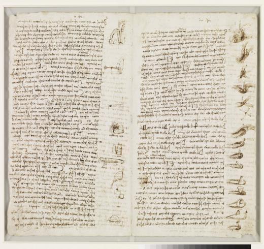 What Do You Know About Leonardo Da Vinci’s Codex Leicester? - Quiz & Trivia