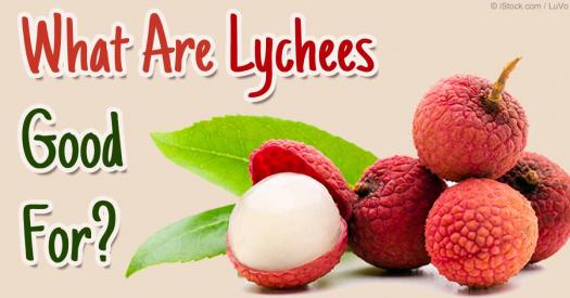 Have You Eaten Or Taste Lychee Before ProProfs Quiz