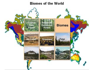Biomes Map Quiz Questions And Answers - ProProfs Quiz