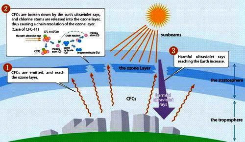 Interesting quiz on CFC Test - Trivia & Questions