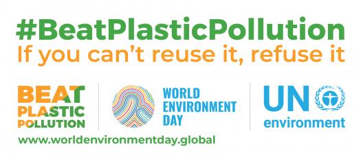 World Environment Day Quiz: Beat Plastic Pollution Challenge - ProProfs ...