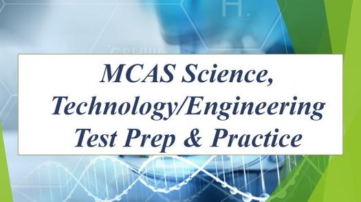MCAS Science, Technology/Engineering Practice - ProProfs Quiz