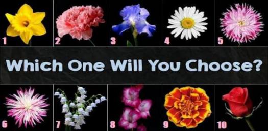 Interesting Quiz On Favorite Flowers? Quiz - ProProfs Quiz