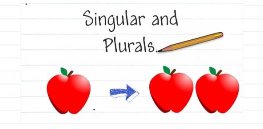 Plural Noun Test Quiz ProProfs Quiz plural-noun-test-quiz-proprofs-quiz