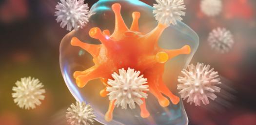 A Human Body Immune System Quiz ProProfs Quiz