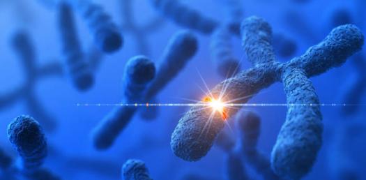 Biology Quiz: Types of Genetic Mutations! - Trivia & Questions