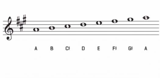Enharmonic Quiz: Trivia Questions! - ProProfs Quiz