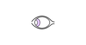 Human Eye Lens Quiz: How Your Vision Adjusts - Quiz & Trivia