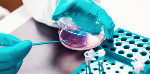 Microbiology Lesson: Structure, Classification, and Pathogens