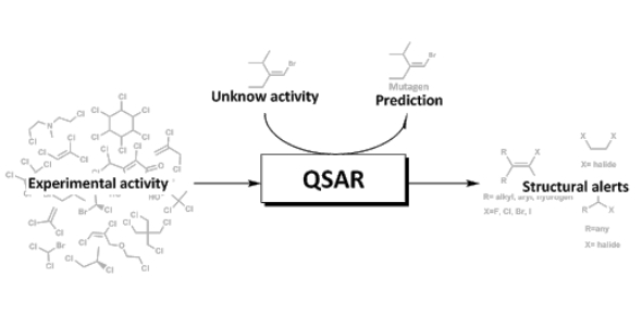 QSAR Classification Model Quiz - Quiz & Trivia