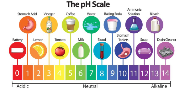 The pH Scale Quiz! - ProProfs Quiz