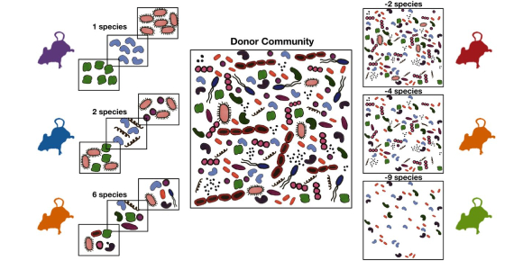 Microbial Diversity Methods Review Test - ProProfs Quiz