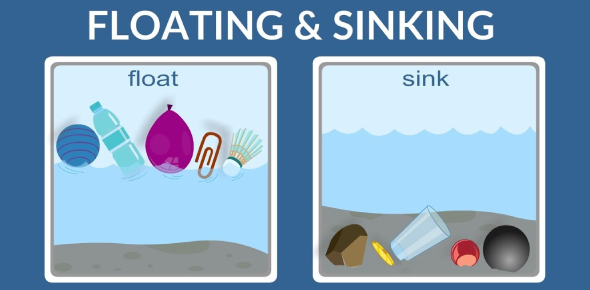 Floating And Sinking - ProProfs Quiz