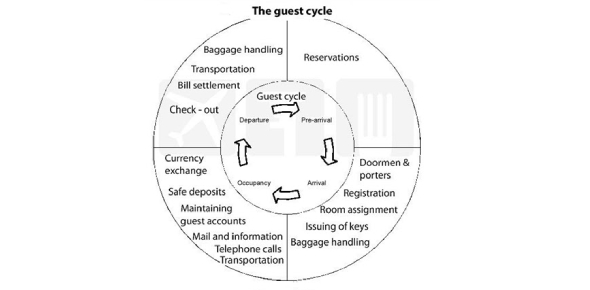 Do You Really Know About Stages In The Guest Cycle? - ProProfs Quiz