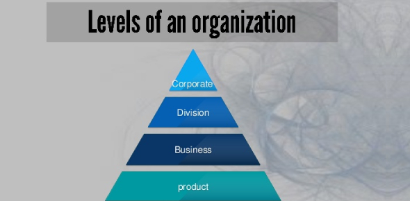 Levels Of Organization Quiz - ProProfs Quiz