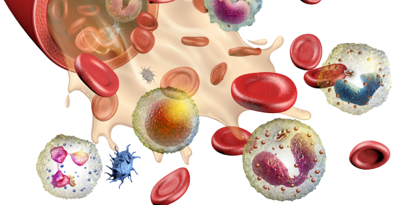 Identify The Leukocytes Quiz Questions And Answers - ProProfs Quiz