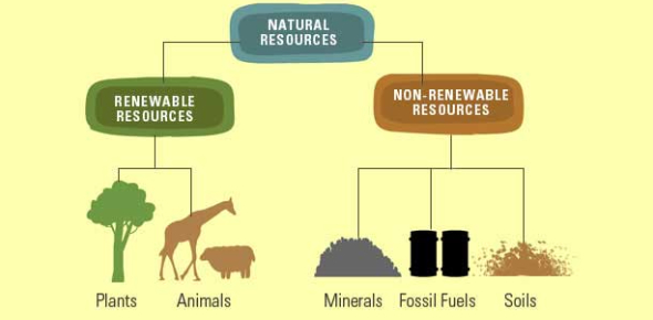 Natural Resources! A Quick Trivia Quiz! - ProProfs Quiz