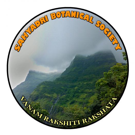 Taxonomy Of Angiosperms: Classification Systems...... - ProProfs Quiz